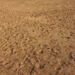 SAND - Construction Baazar